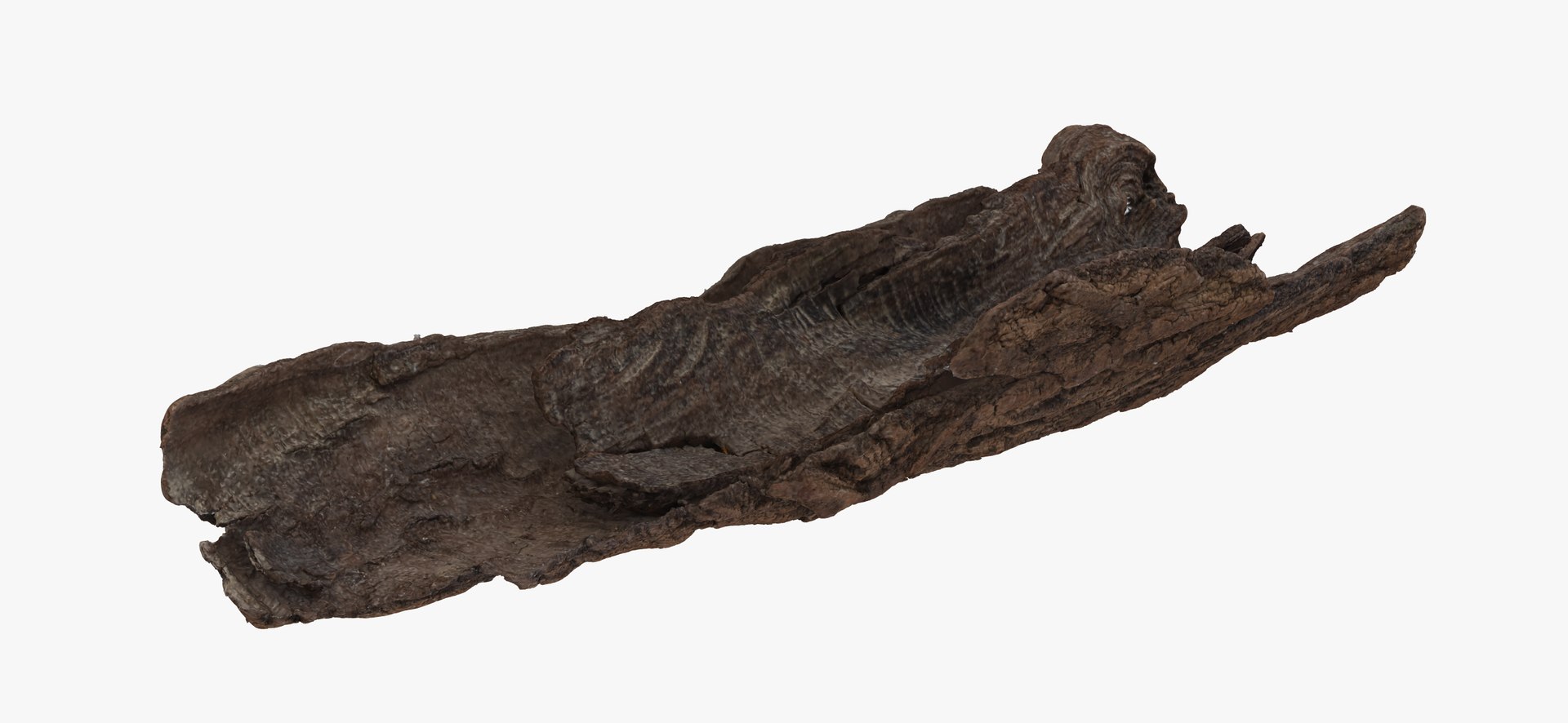 Broken Tree Bark Piece 02 RAW Scan model - TurboSquid 2143335