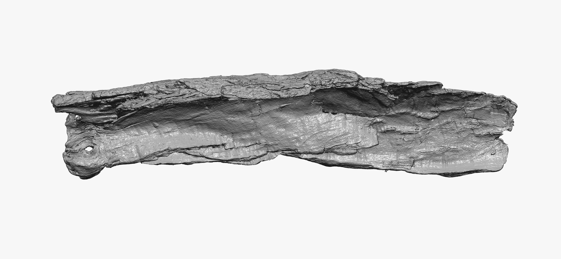 Broken Tree Bark Piece 02 RAW Scan model - TurboSquid 2143335