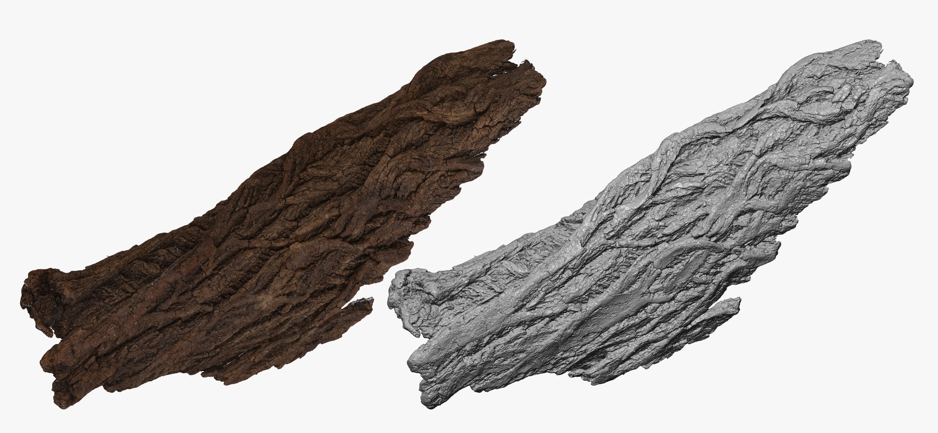 Broken Tree Bark Piece 02 RAW Scan model - TurboSquid 2143335