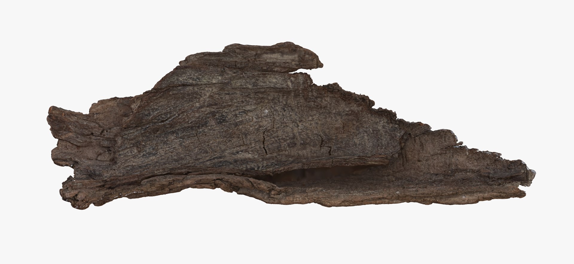 Broken Tree Bark Piece 02 RAW Scan model - TurboSquid 2143335