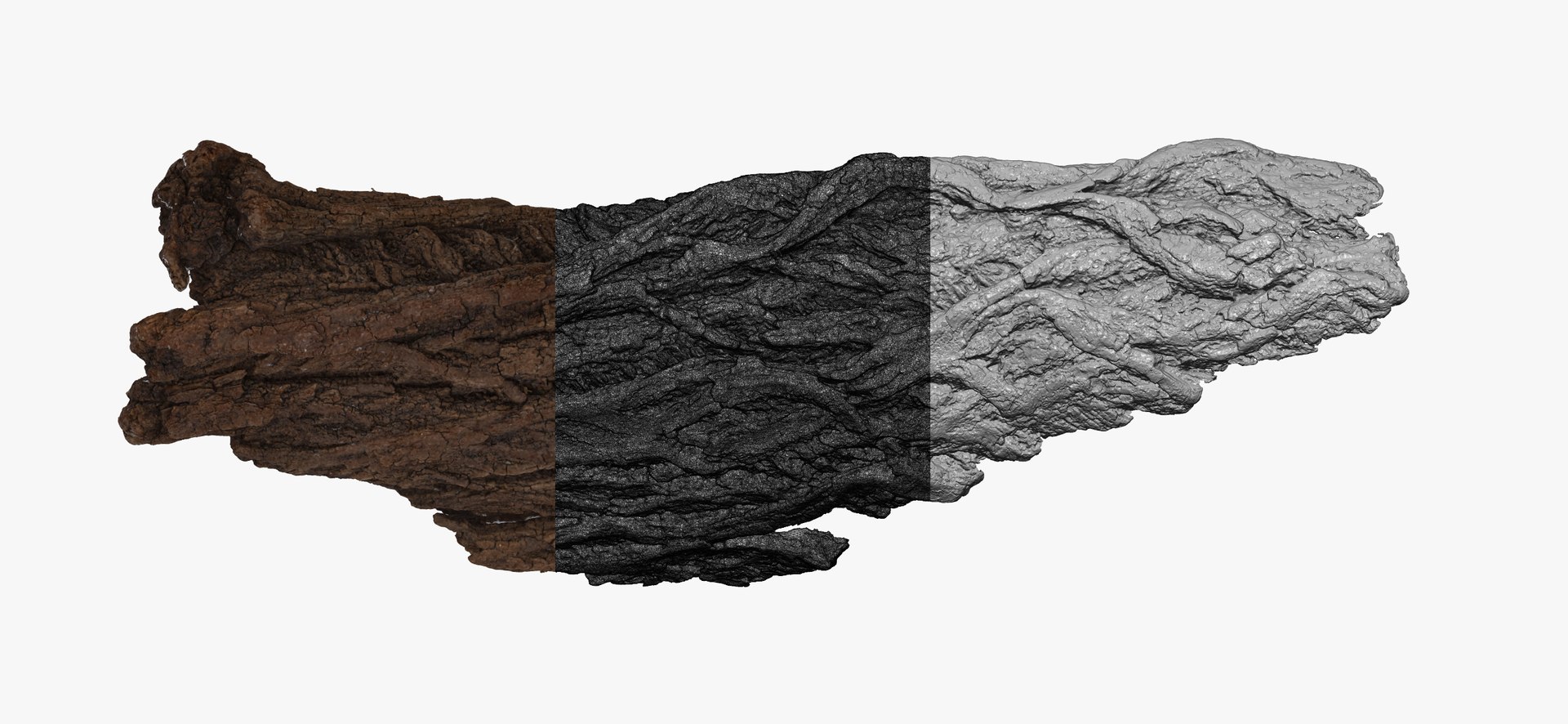 Broken Tree Bark Piece 02 RAW Scan model - TurboSquid 2143335