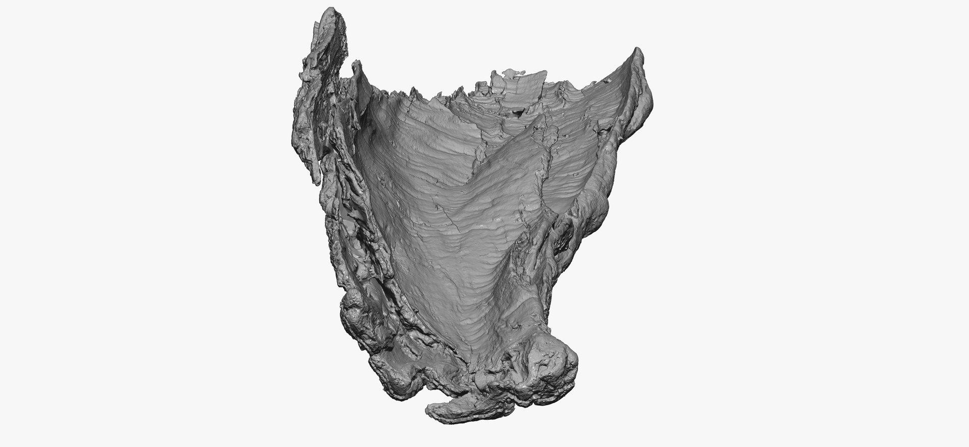 Broken Tree Bark Piece 02 RAW Scan model - TurboSquid 2143335