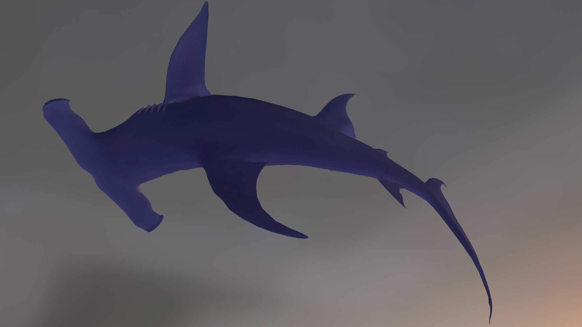 3D Model Hammer Shark - TurboSquid 2118152