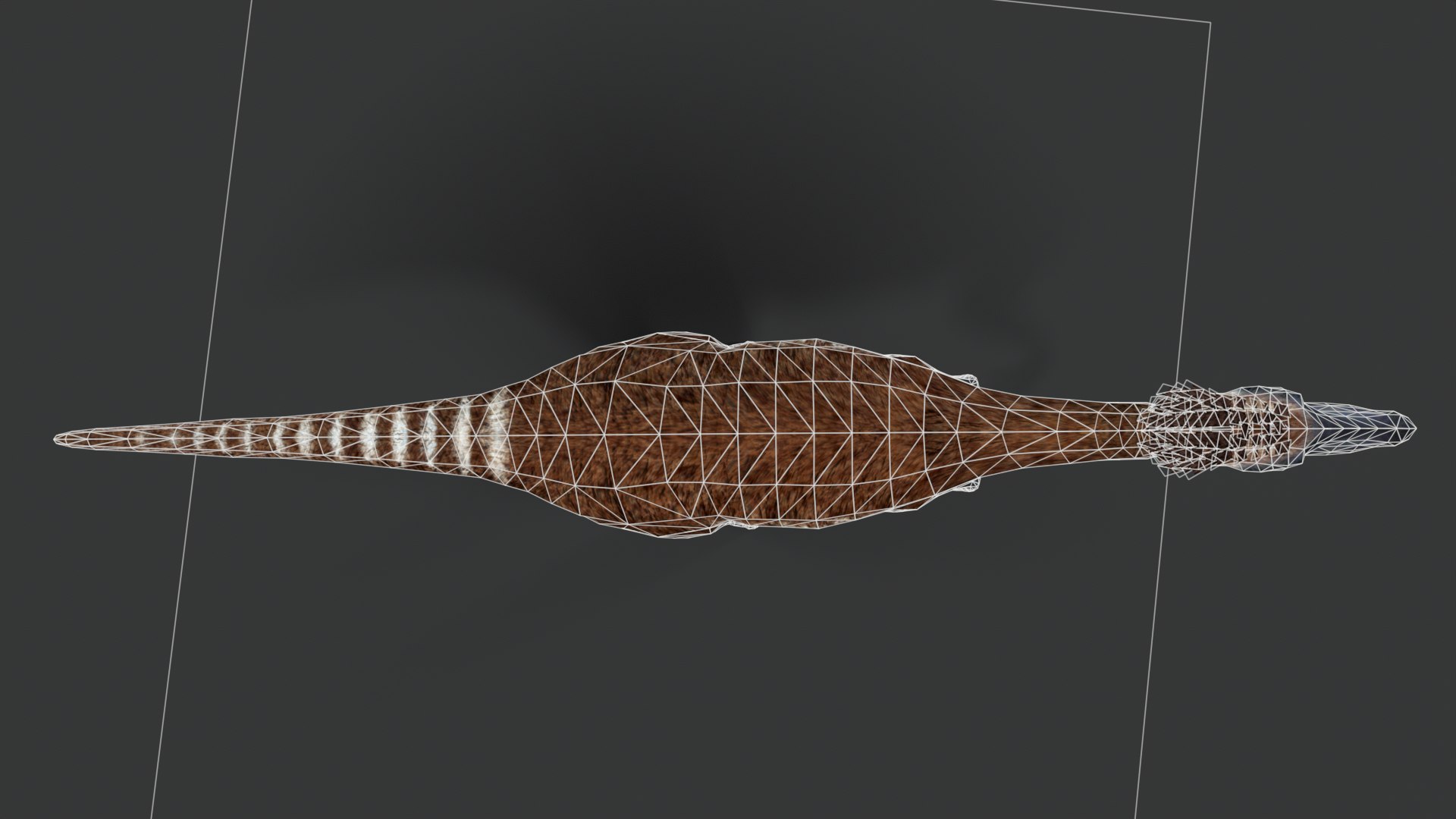 Archaeornithomimus Dinosaur Low Poly 3D Model - TurboSquid 2241314