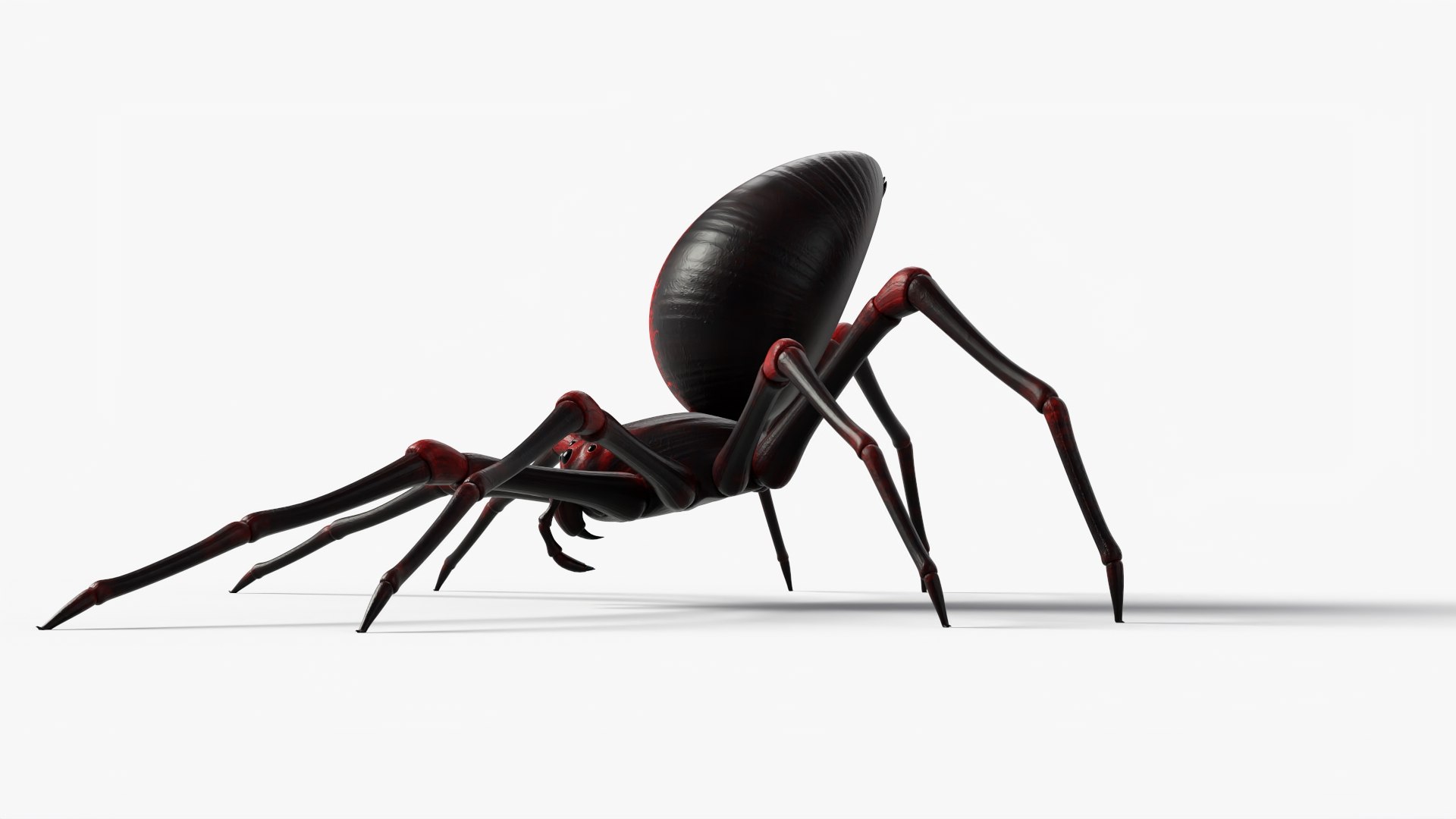 3D Spider 8k Pbr Rigged Model - TurboSquid 1648782