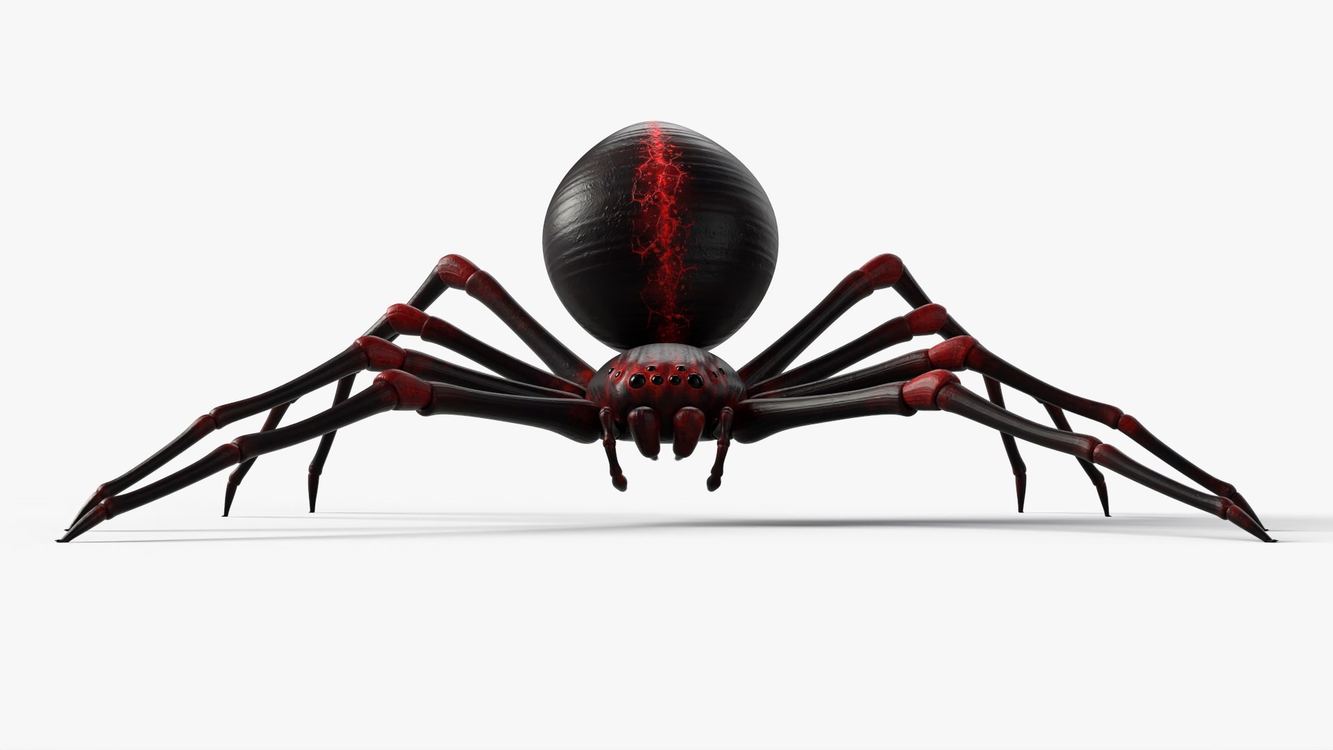 3D Spider 8k Pbr Rigged Model - TurboSquid 1648782