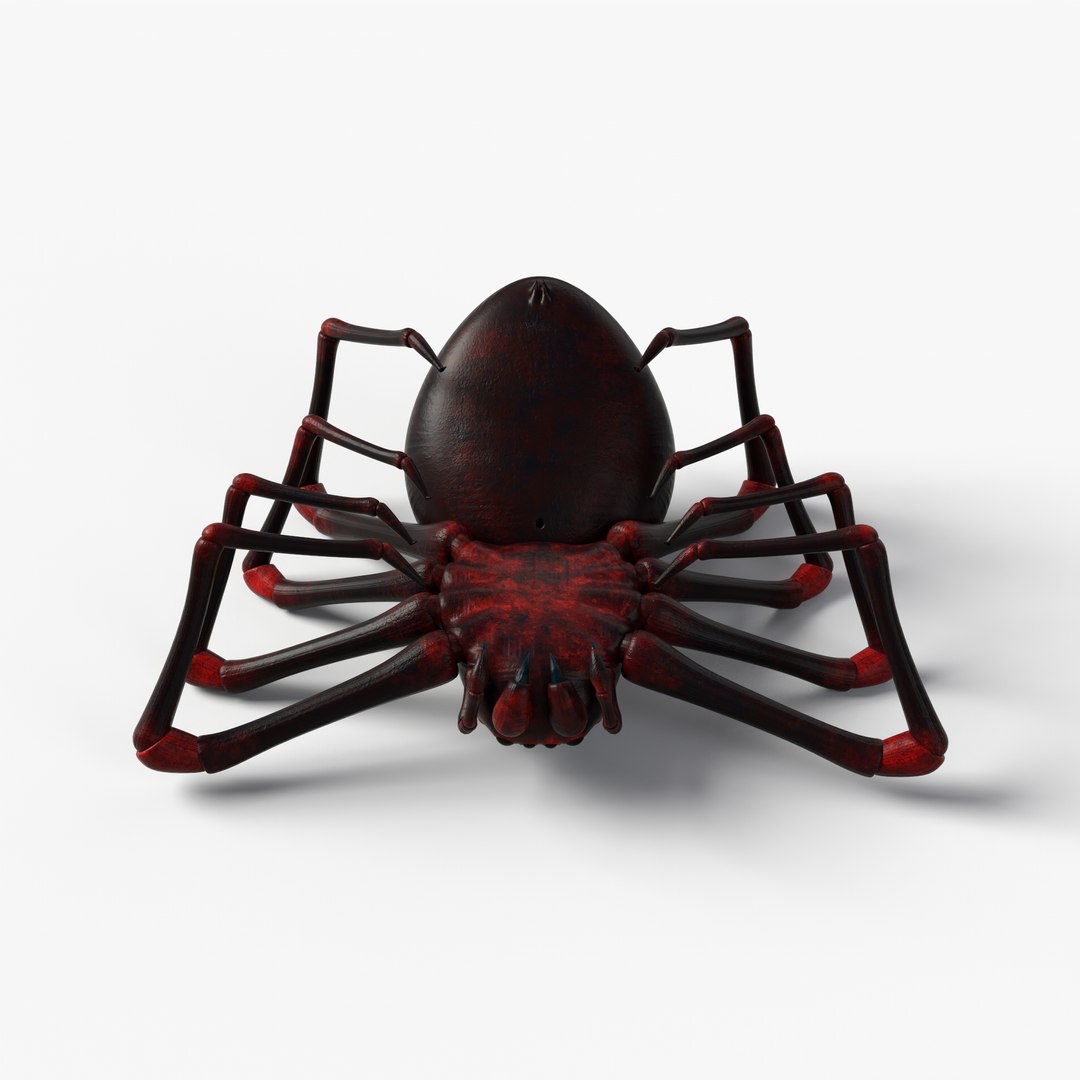 3D Spider 8k Pbr Rigged Model - TurboSquid 1648782