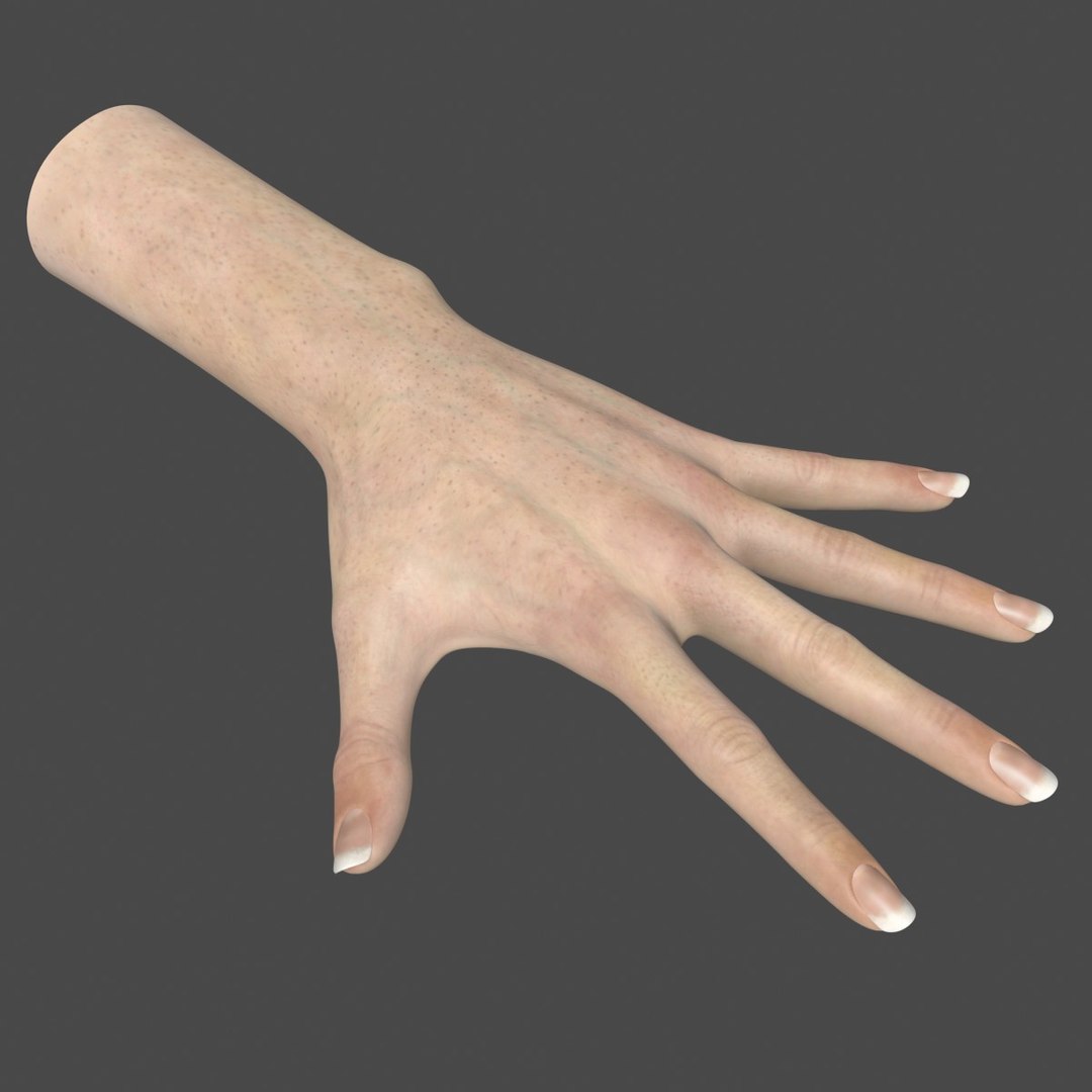 Realistic Female Hand Modeled 3d Model