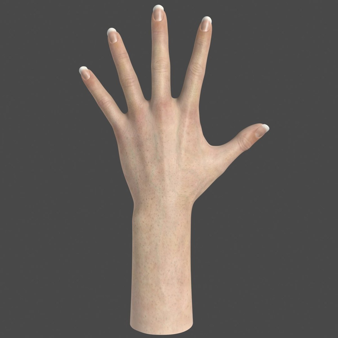 Realistic Female Hand Modeled 3d Model