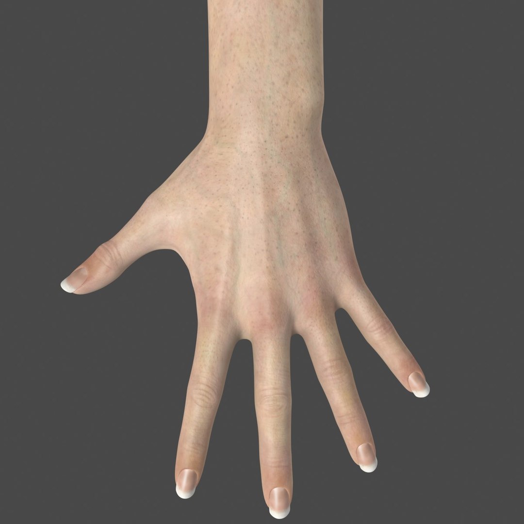 Realistic Female Hand Modeled 3d Model