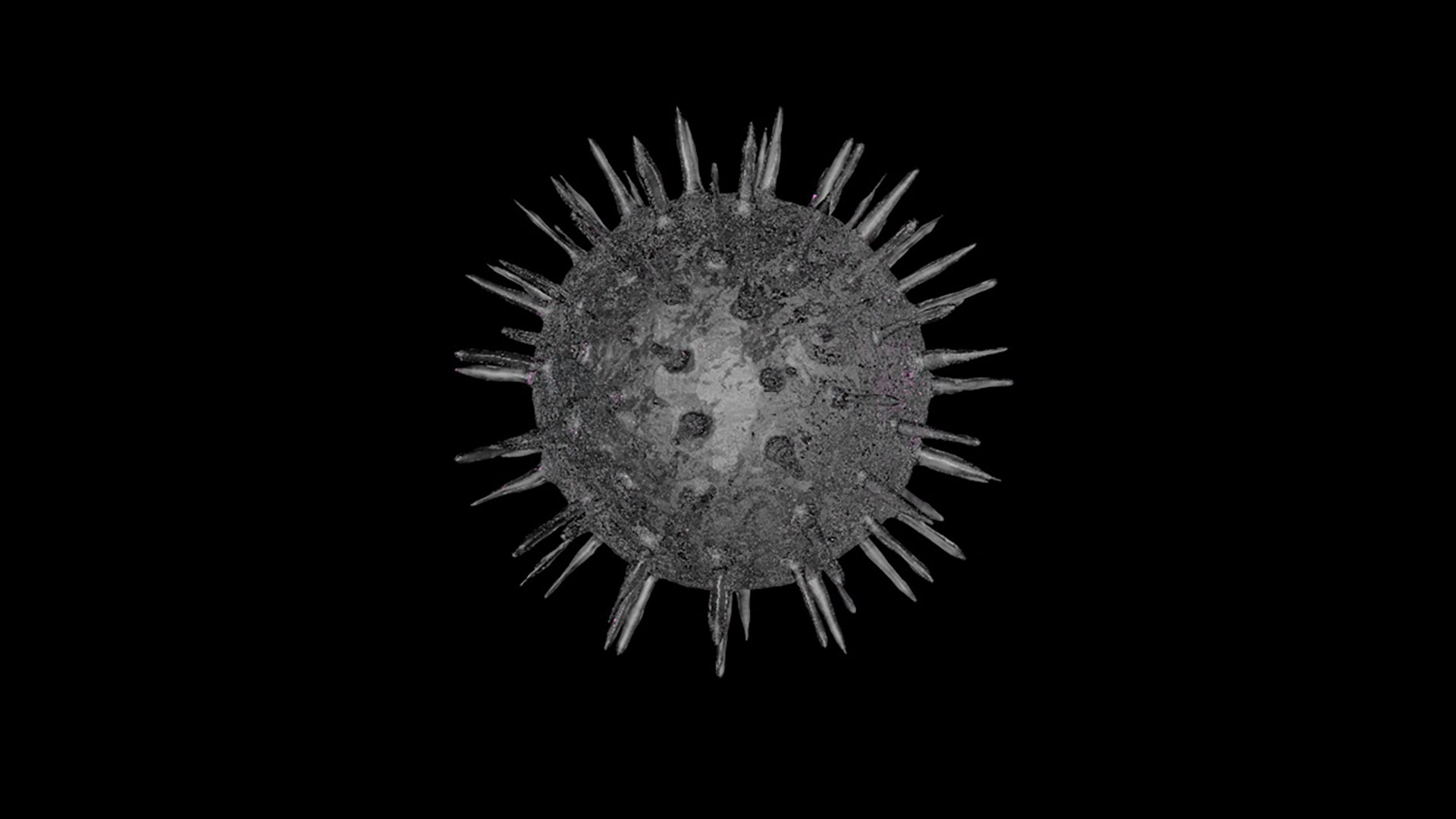 Viruses 3D - TurboSquid 1938035