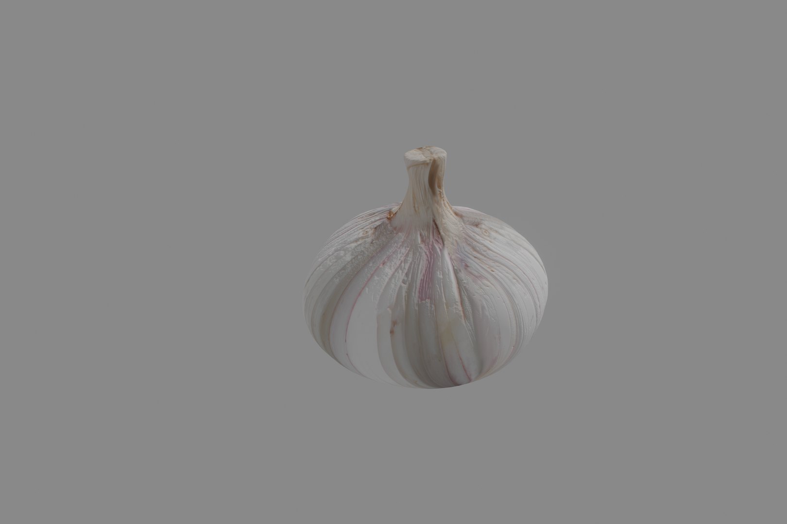3D Garlic Model - TurboSquid 2058551