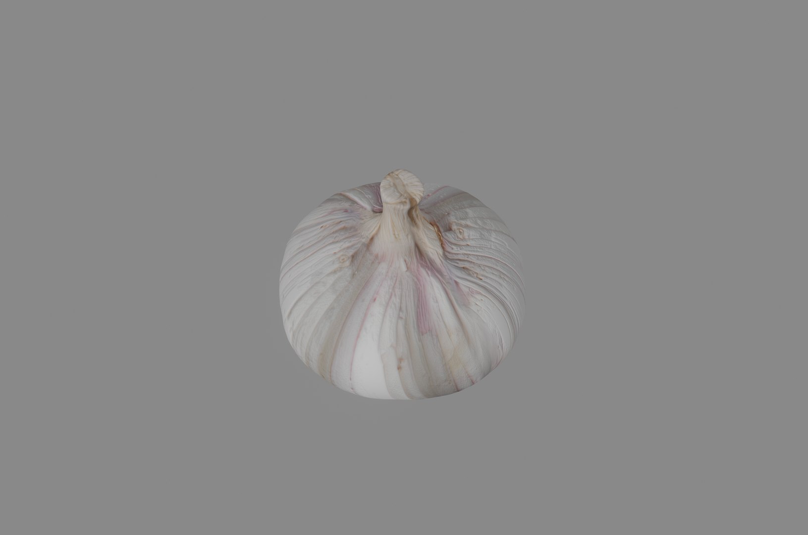 3D Garlic Model - TurboSquid 2058551