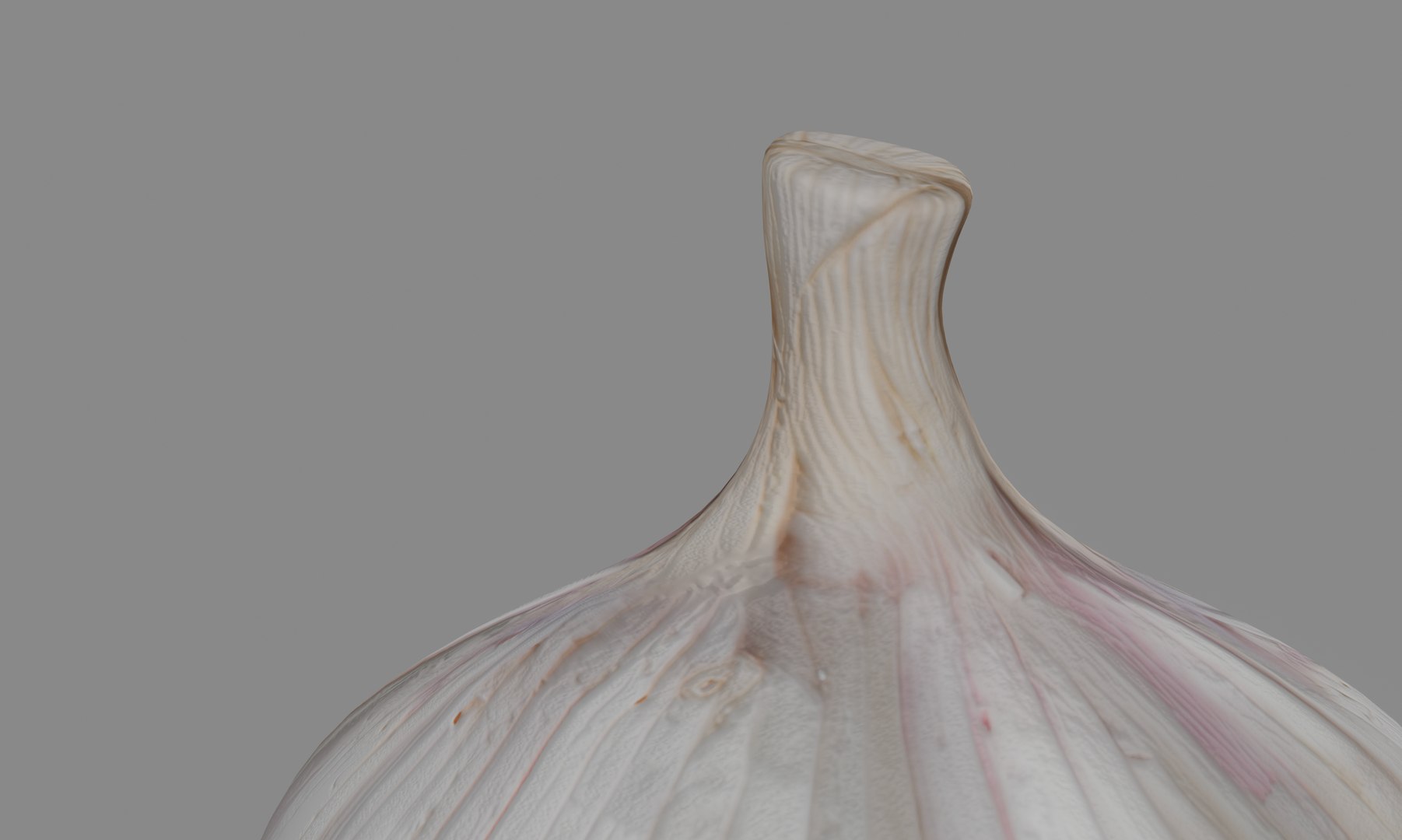 3D Garlic Model - TurboSquid 2058551