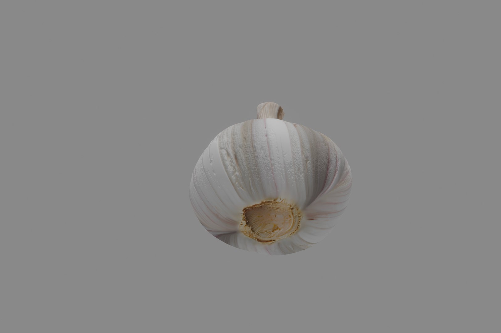 3D Garlic Model - TurboSquid 2058551