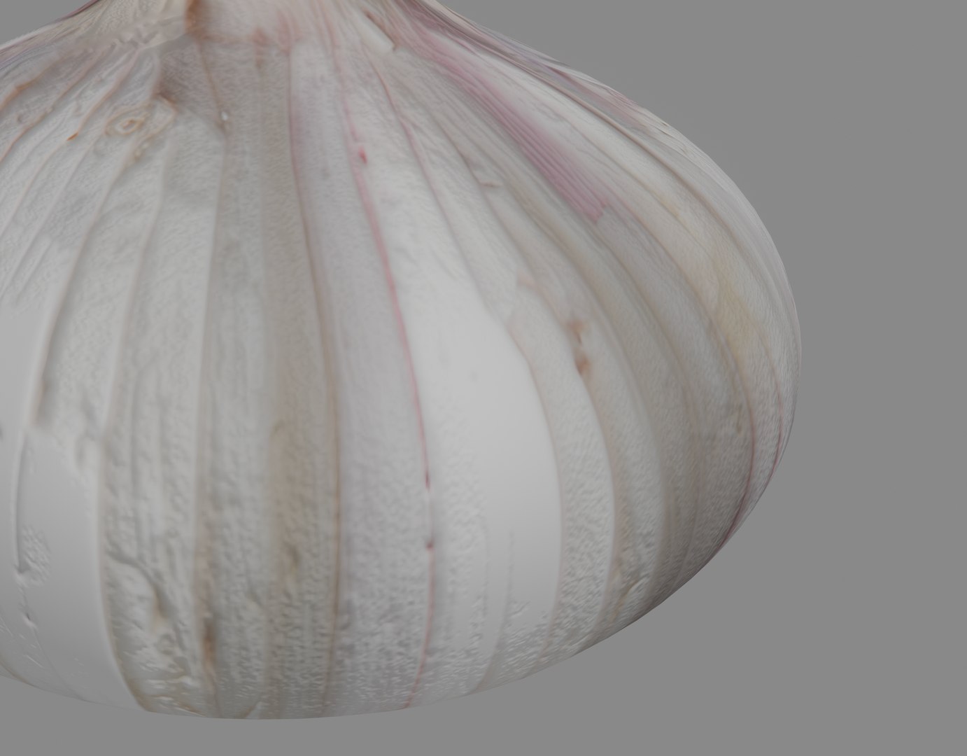 3D Garlic Model - TurboSquid 2058551