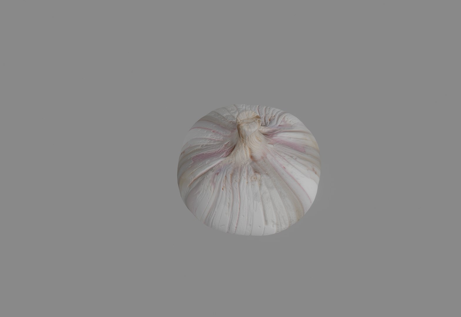 3D Garlic Model - TurboSquid 2058551