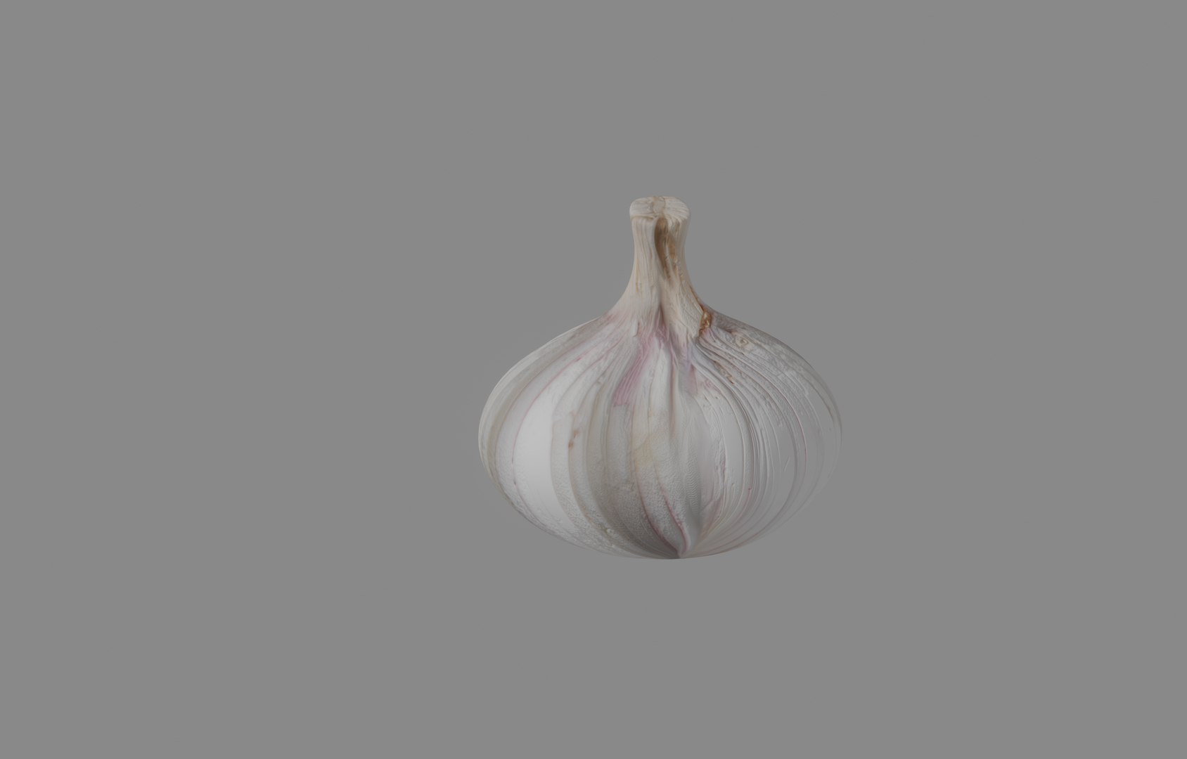 3D Garlic Model - TurboSquid 2058551