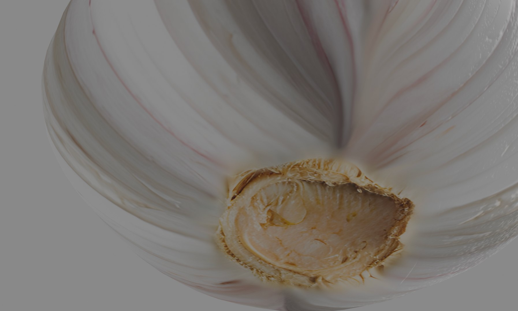 3D Garlic Model - TurboSquid 2058551