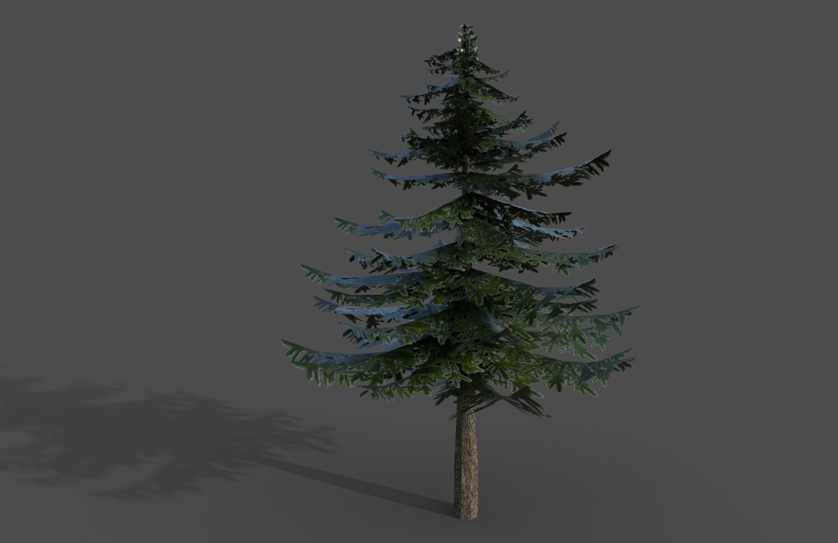 Pine tree 3D model - TurboSquid 1466274