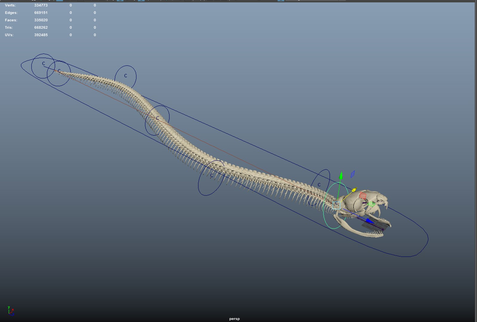 3D Snake Skeleton Rig - TurboSquid 1471901