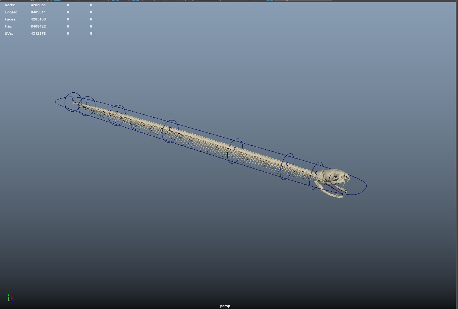 3D Snake Skeleton Rig - TurboSquid 1471901