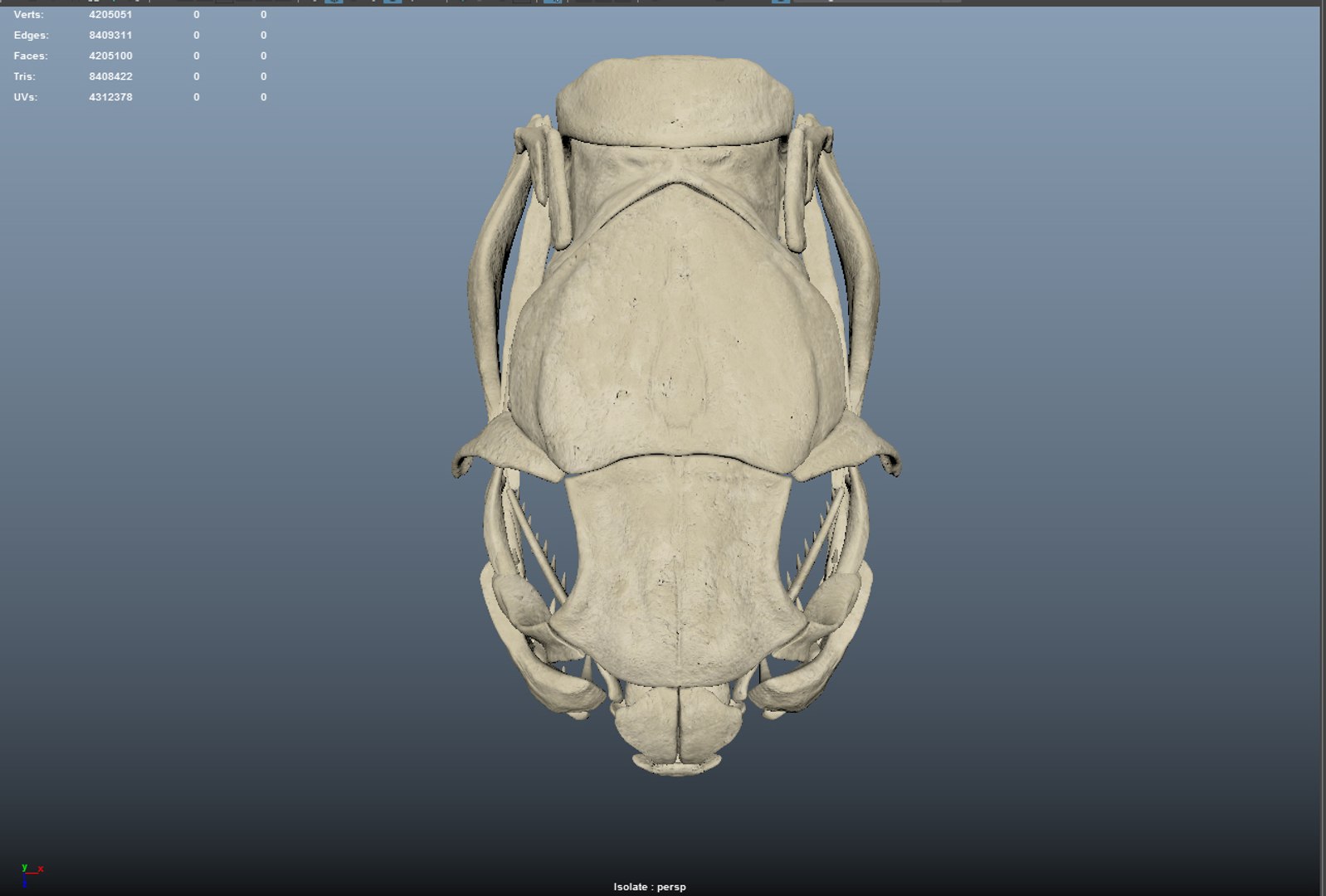 3D Snake Skeleton Rig - TurboSquid 1471901