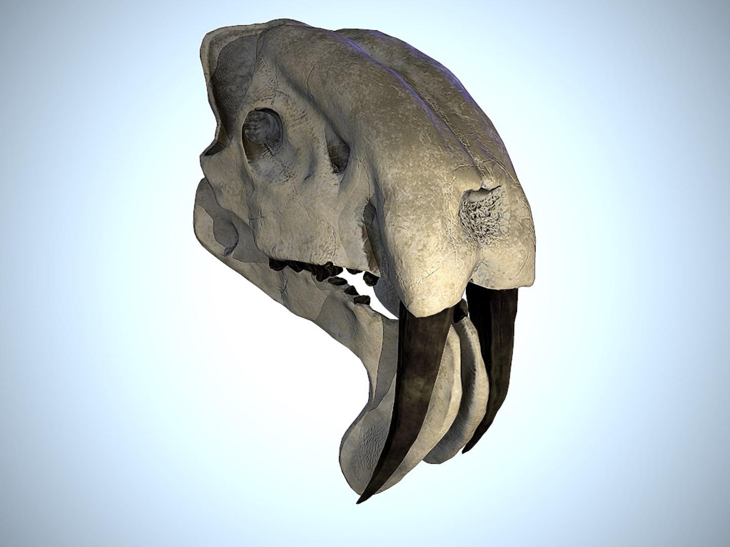 Resolution 3d Model