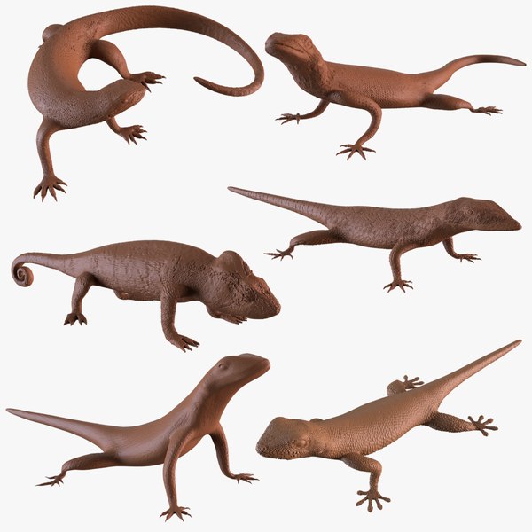 modelo 3d Printable lizards - TurboSquid 1914914