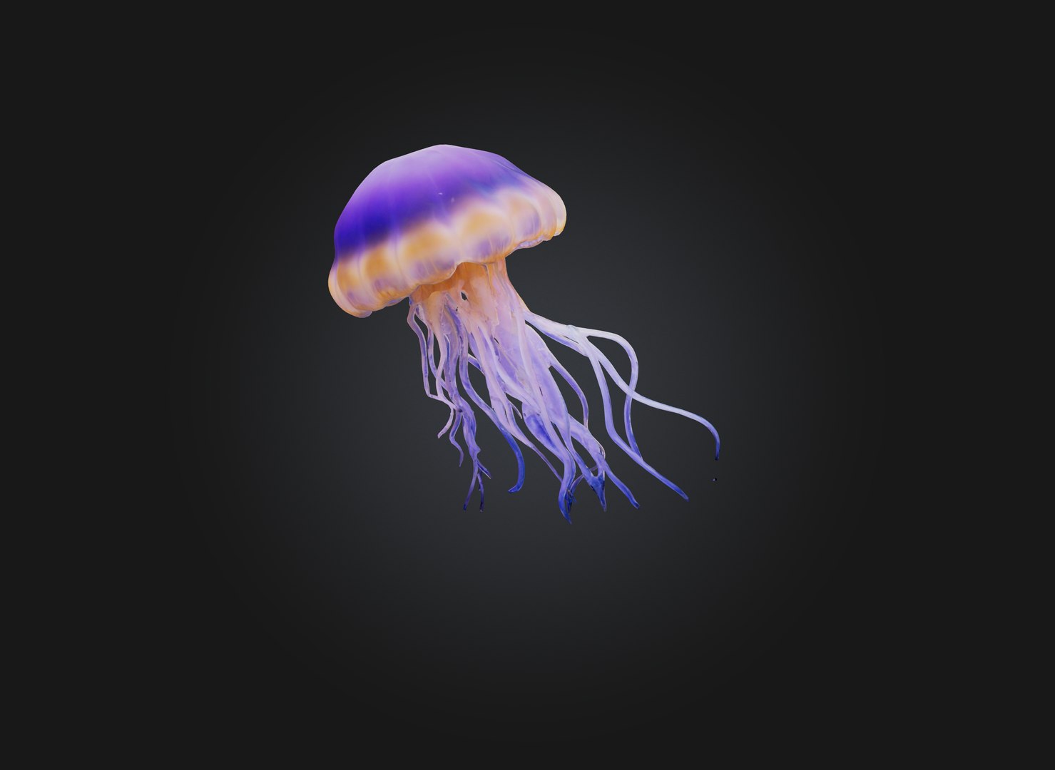 3D Jellyfish - TurboSquid 2288380