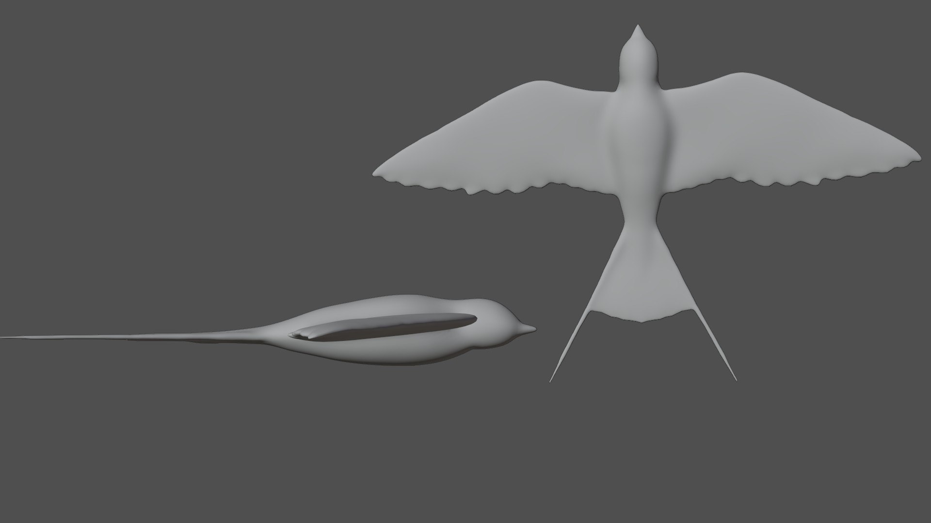 Rigged Swallow 3D Model - TurboSquid 1779344