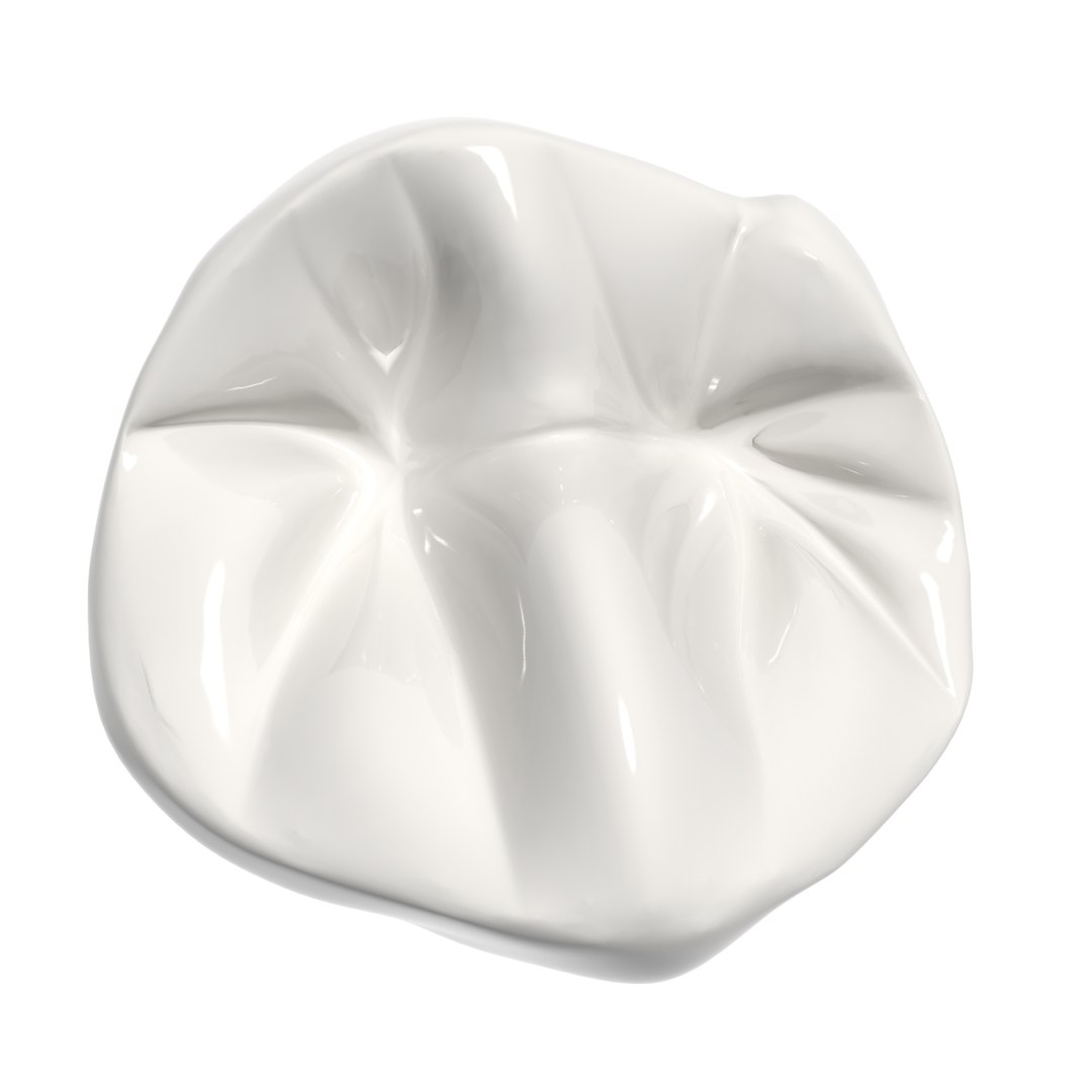 3d Lower Premolar Model