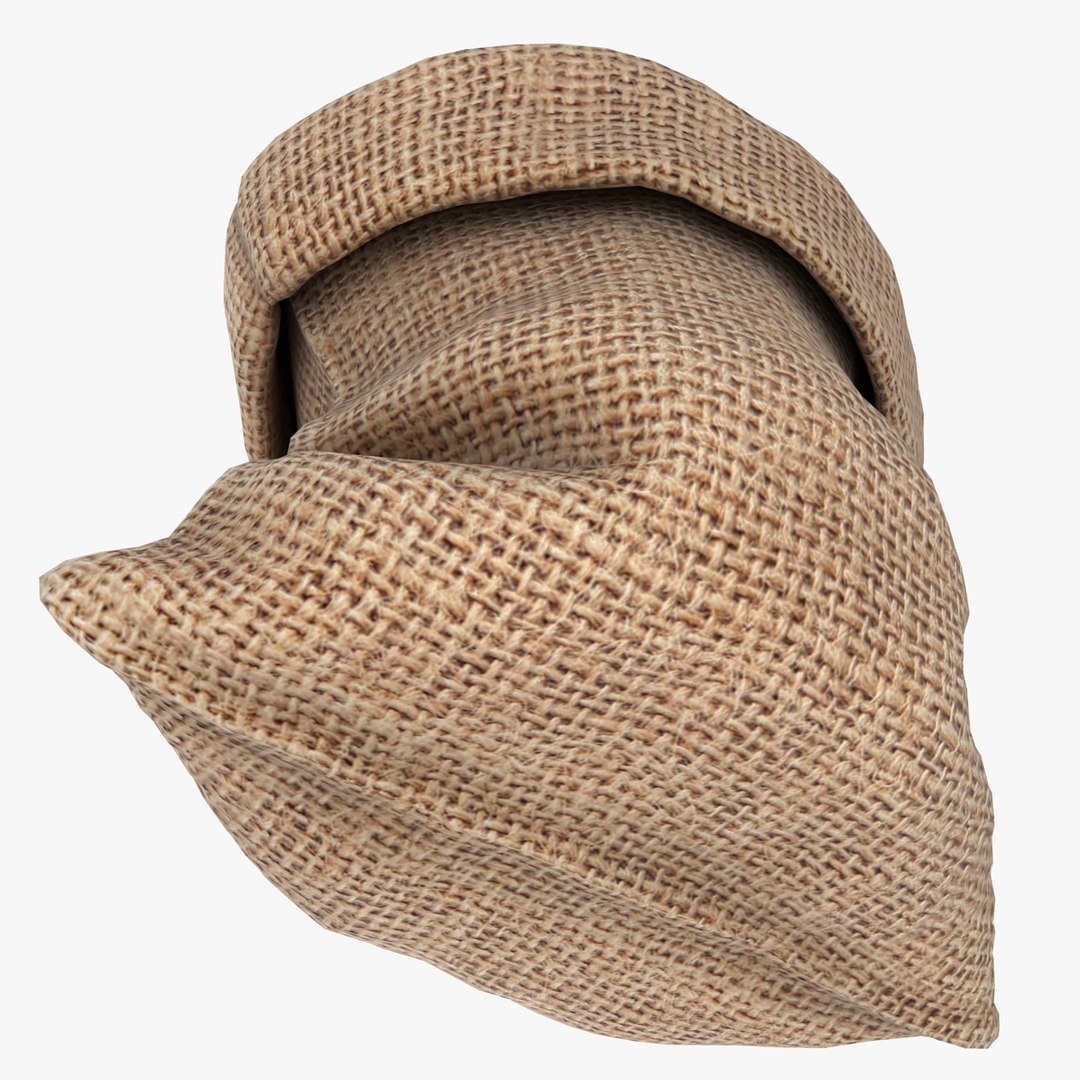 3D Model Realistic Sack - TurboSquid 1202454
