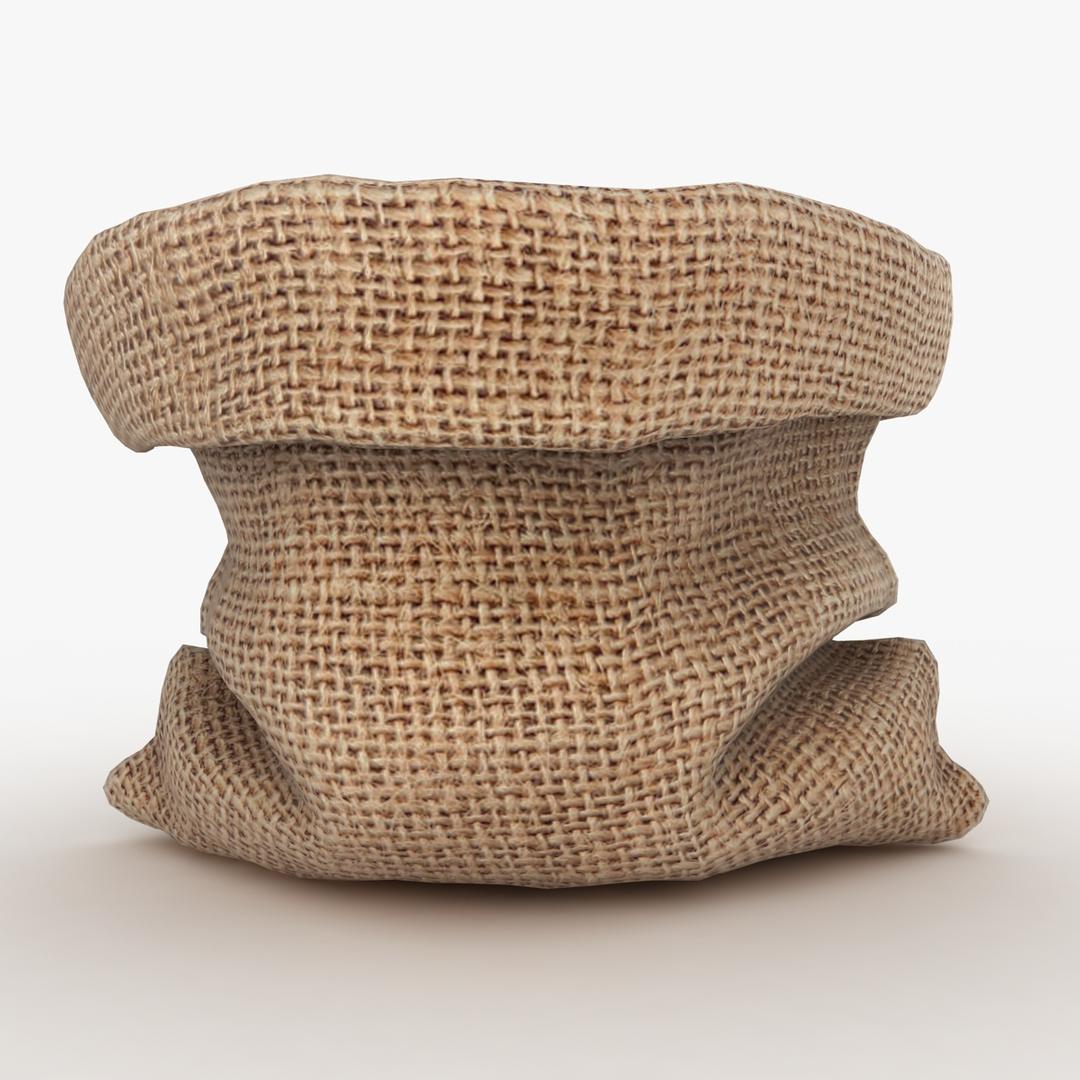 3D Model Realistic Sack - TurboSquid 1202454