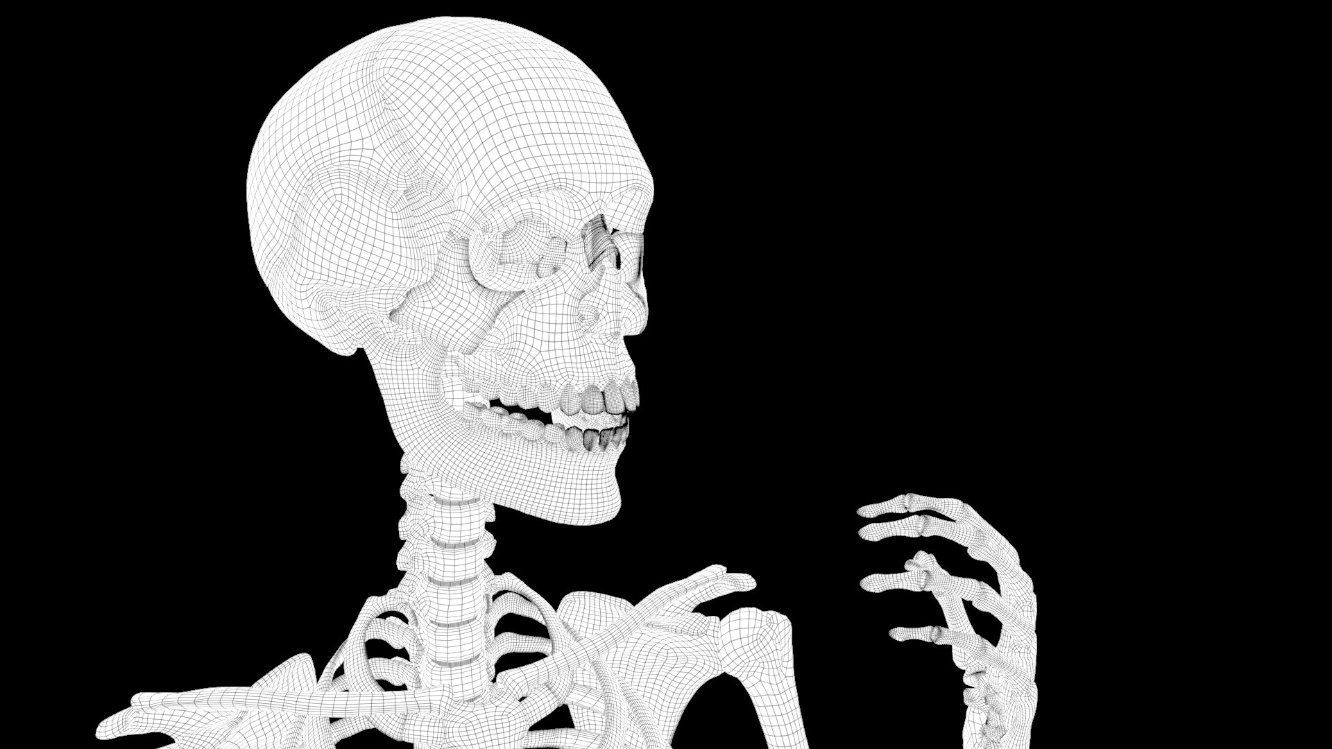 3D Female Skeleton Rigged Model - TurboSquid 1673641