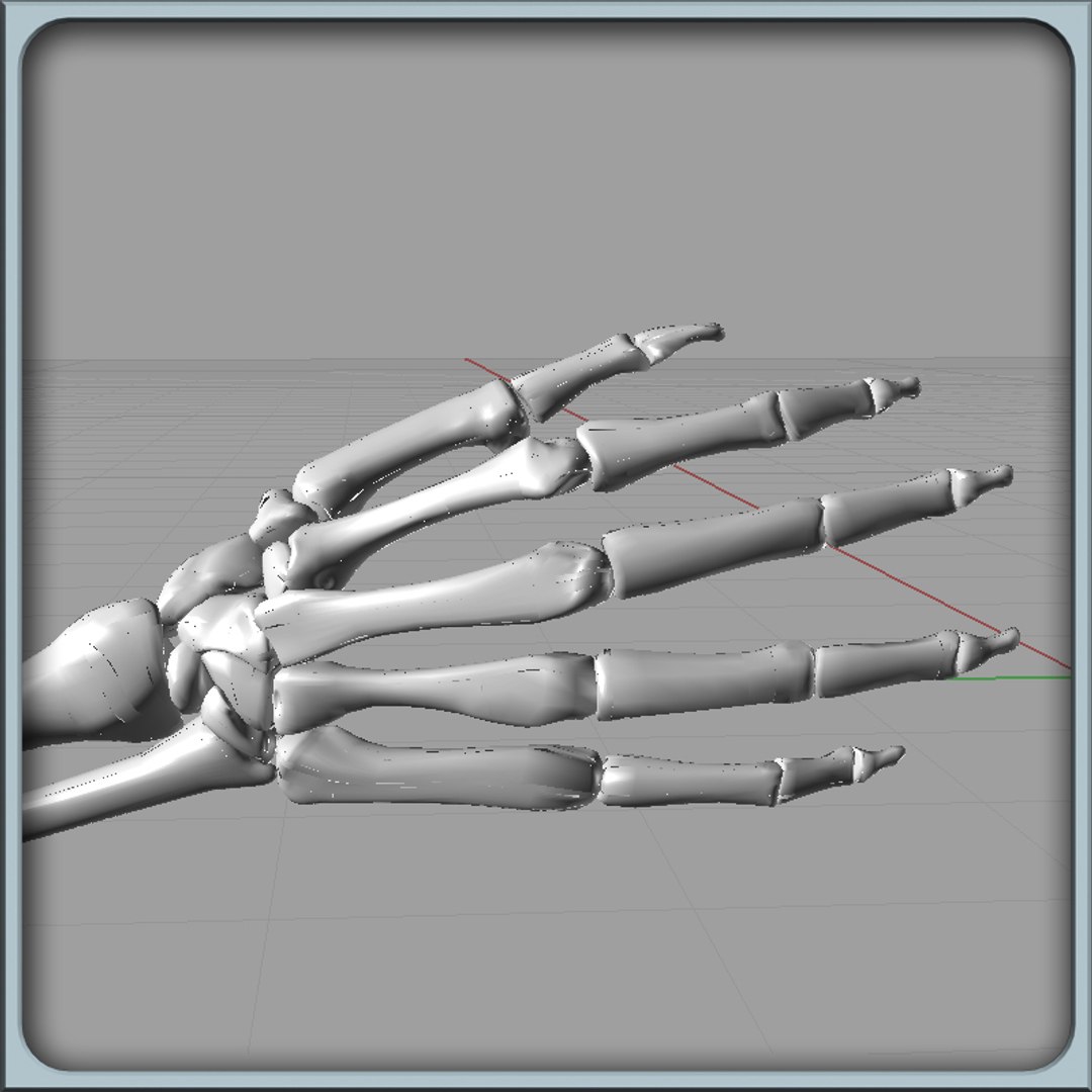 Igs Arm Bones 3dm