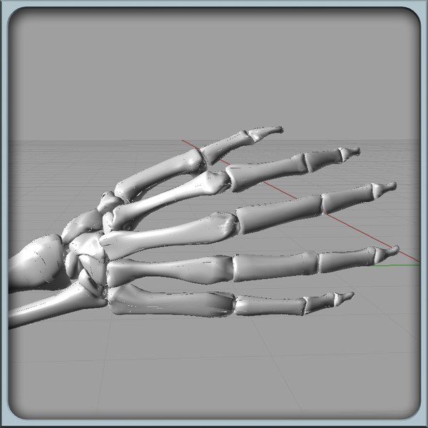 Skeletal System Solidworks 3D Models for Download | TurboSquid