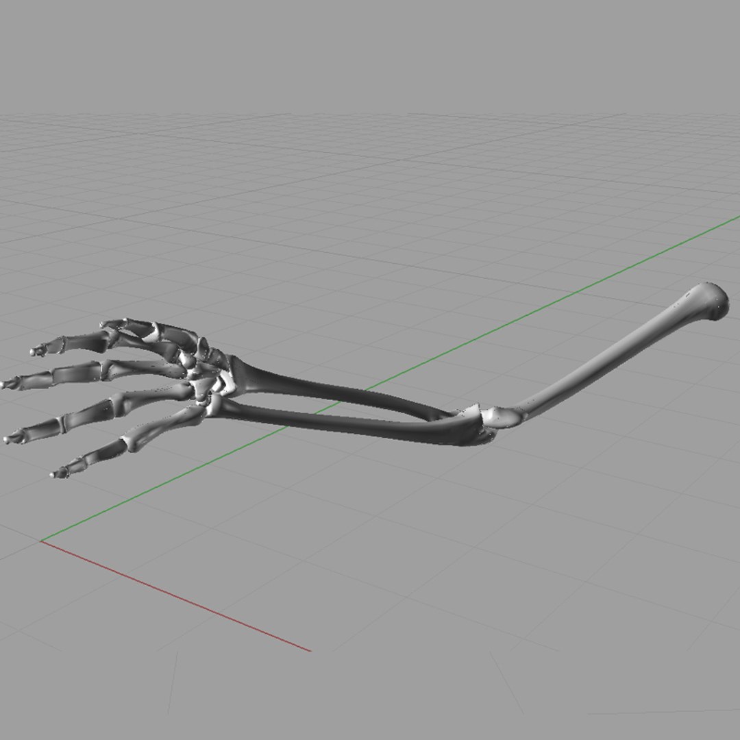 Igs Arm Bones 3dm