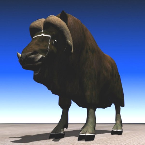 Musk Ox 3D Models for Download | TurboSquid