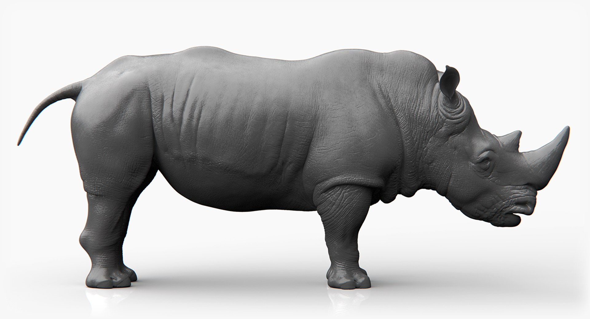 Realistic Rhino Model - TurboSquid 1351004