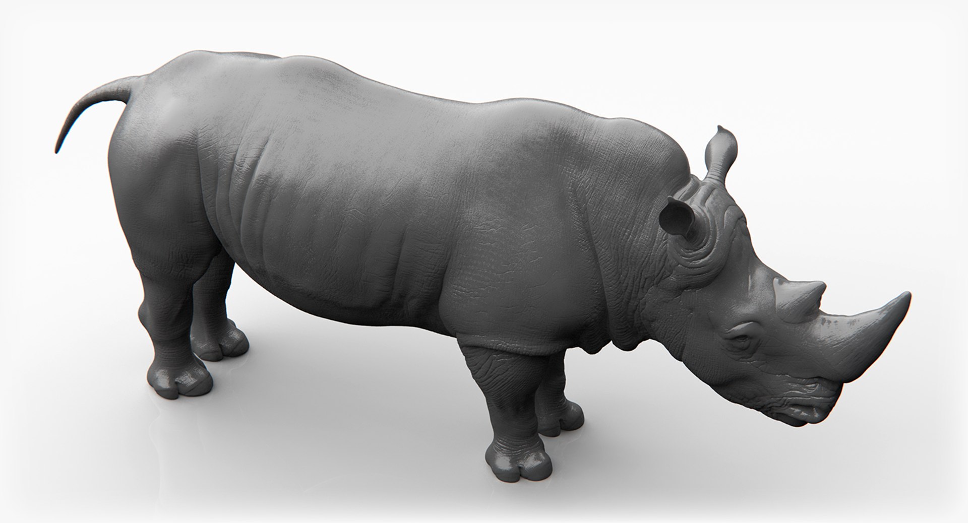 Realistic Rhino Model - TurboSquid 1351004