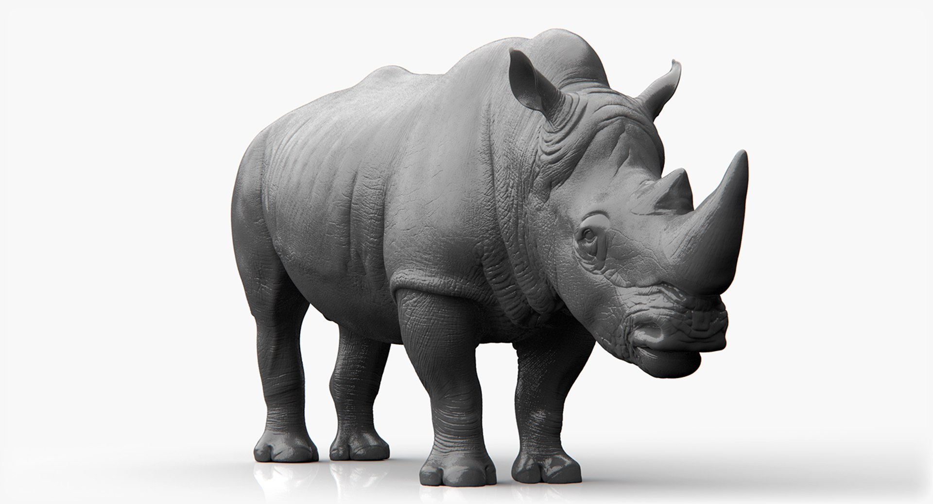 Realistic Rhino Model - TurboSquid 1351004