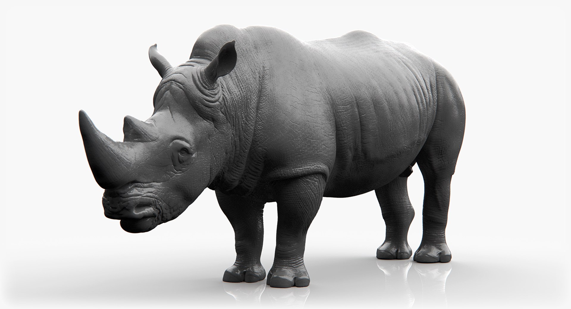 Realistic Rhino Model - TurboSquid 1351004