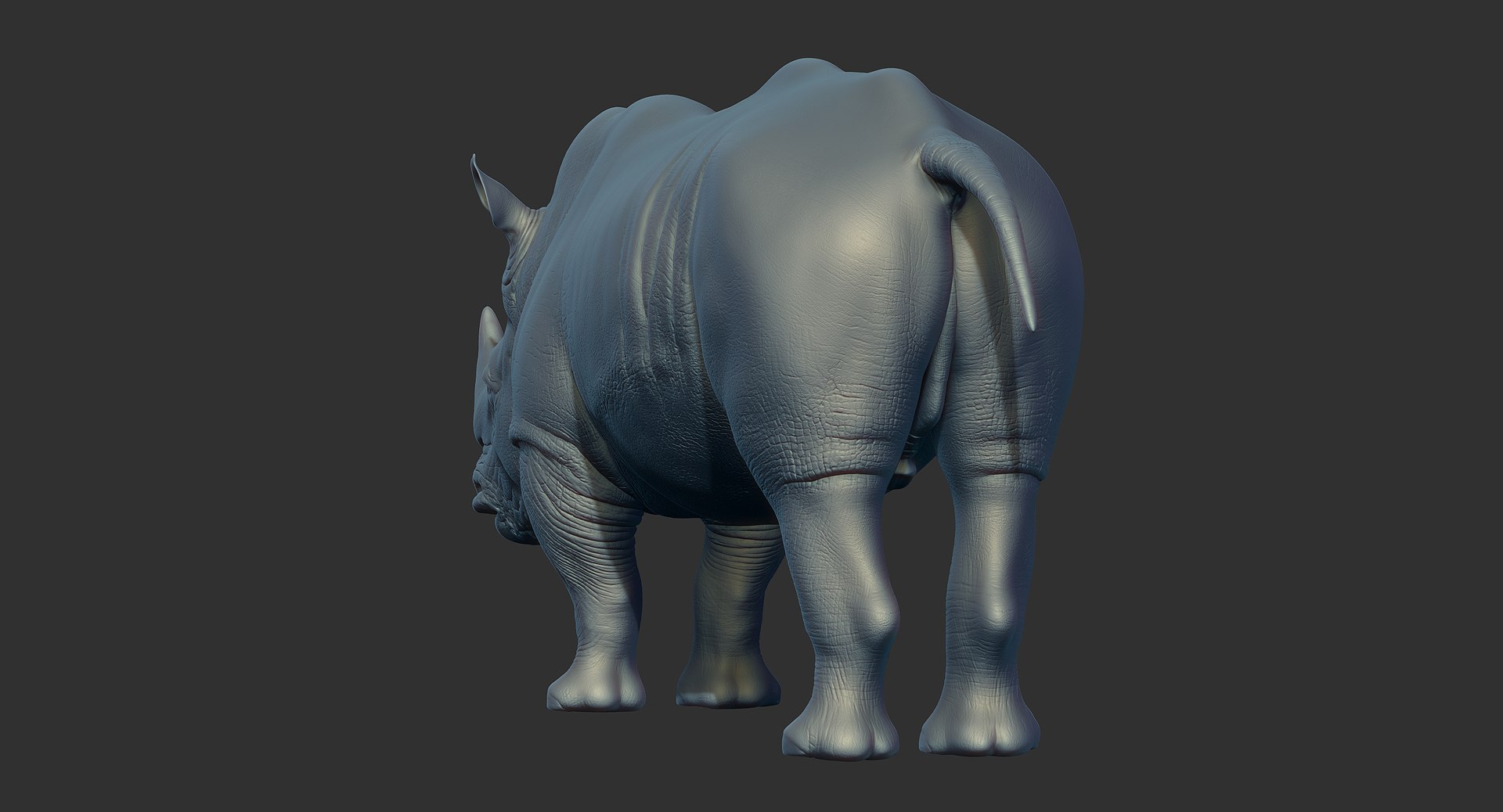 Realistic Rhino Model - TurboSquid 1351004