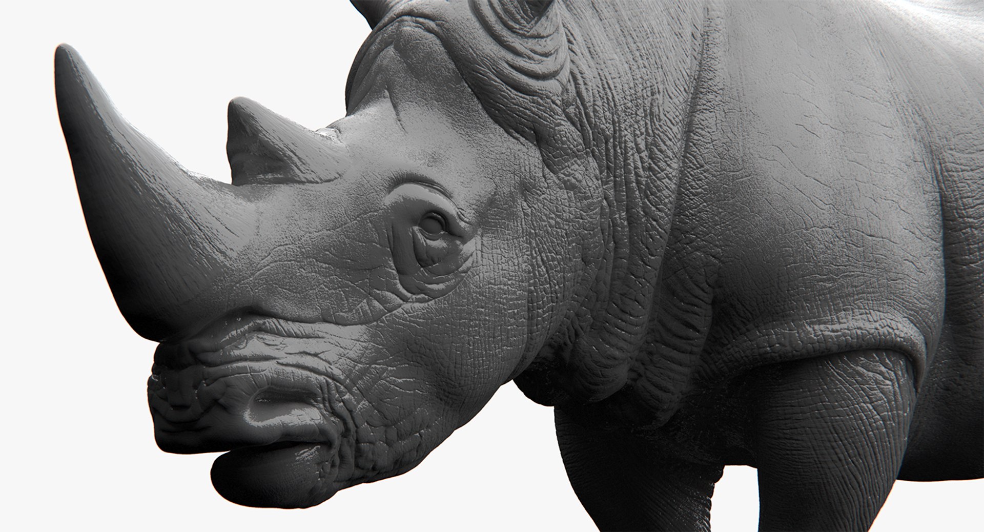 Realistic Rhino Model - TurboSquid 1351004