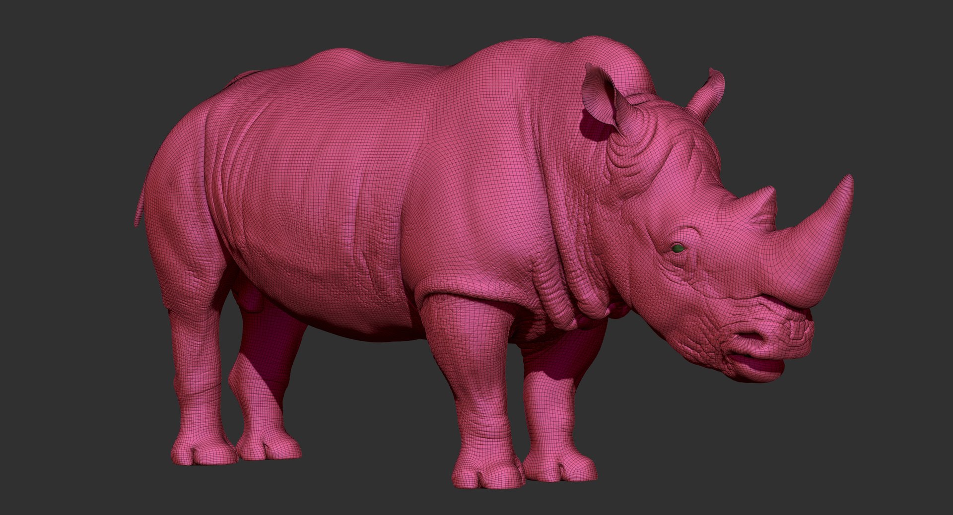 Realistic rhino model - TurboSquid 1351004