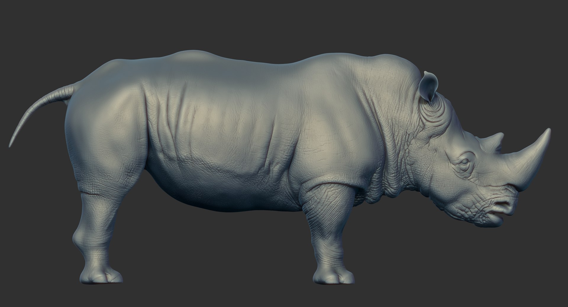 Realistic rhino model - TurboSquid 1351004
