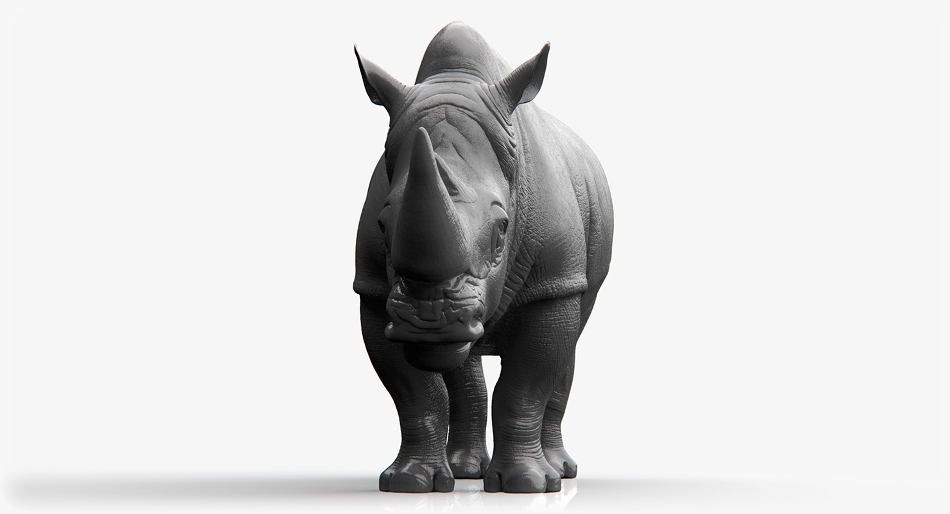 Realistic Rhino Model - TurboSquid 1351004