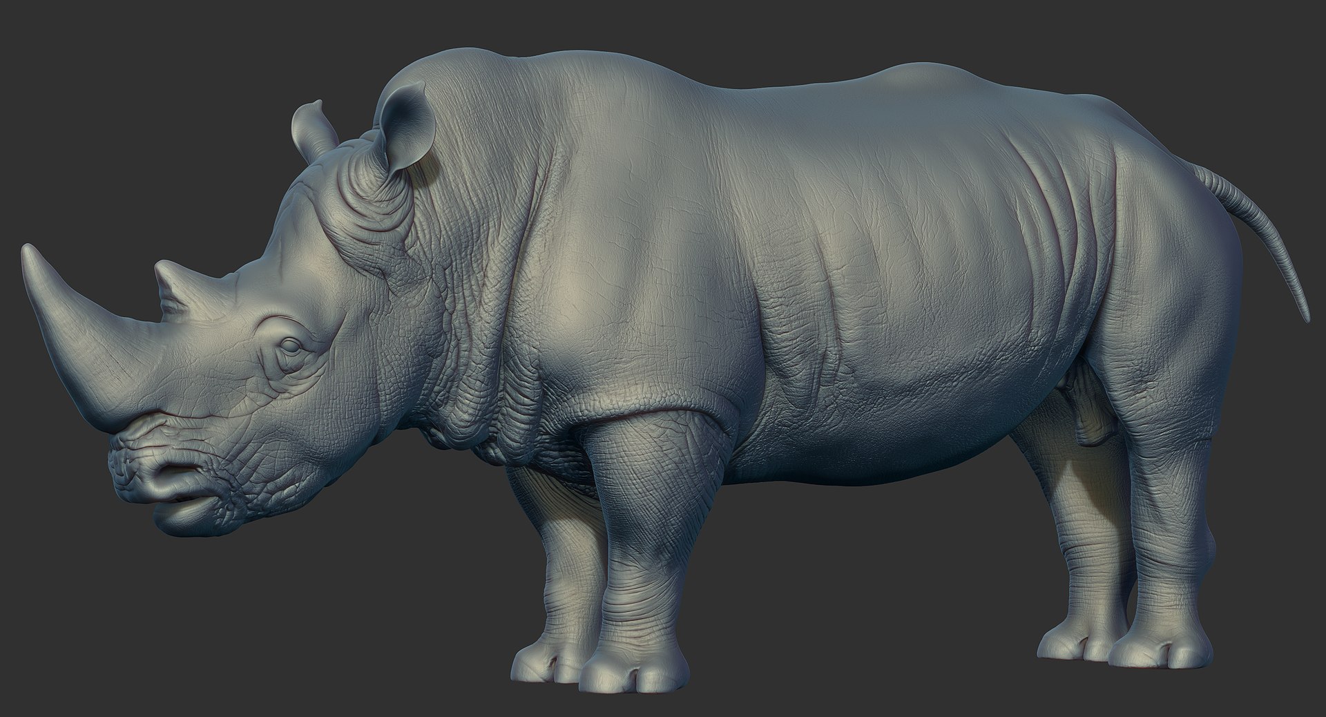 Realistic Rhino Model - TurboSquid 1351004