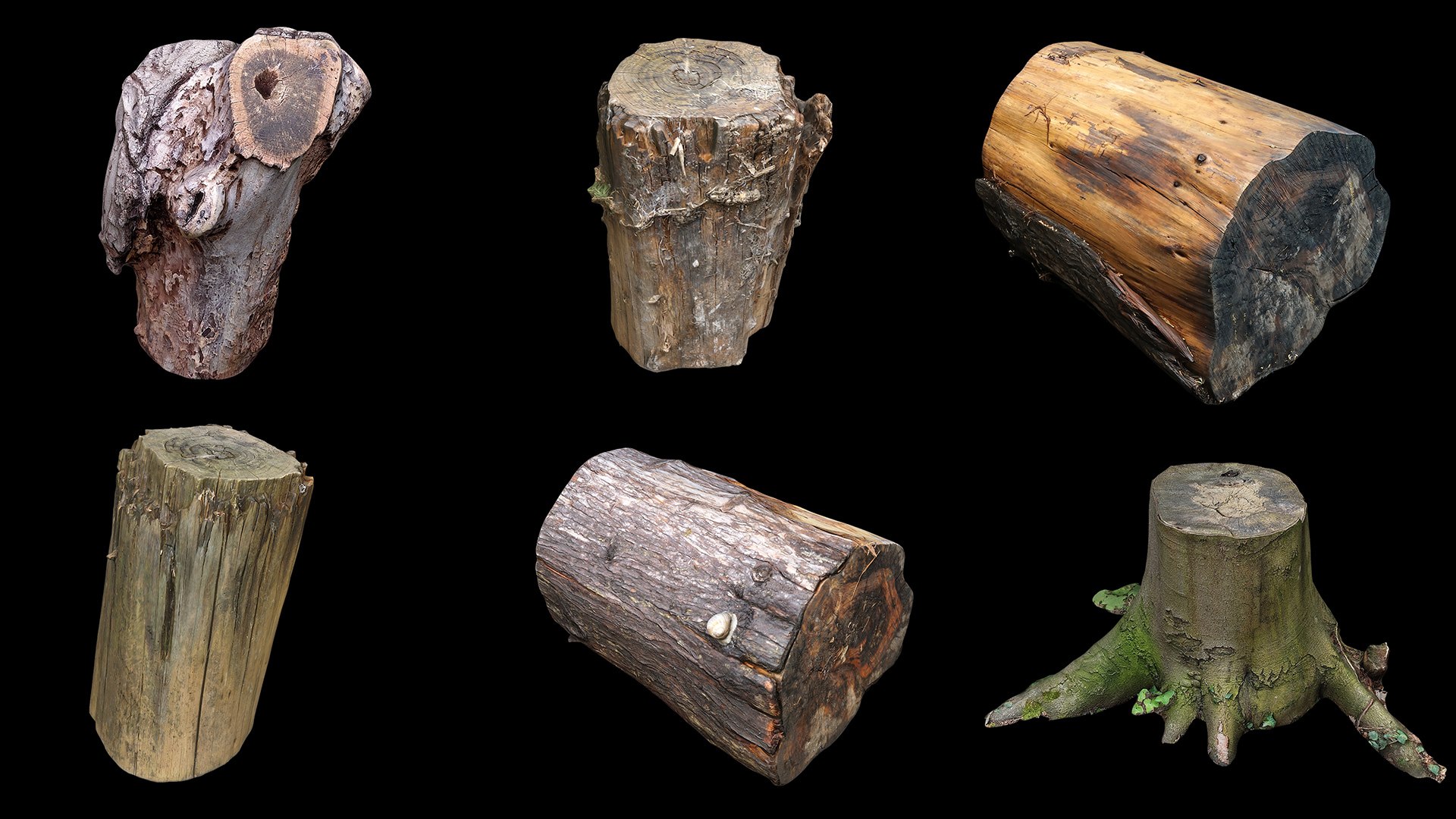 3D Model Tree Stump Collection 14 - TurboSquid 2132877